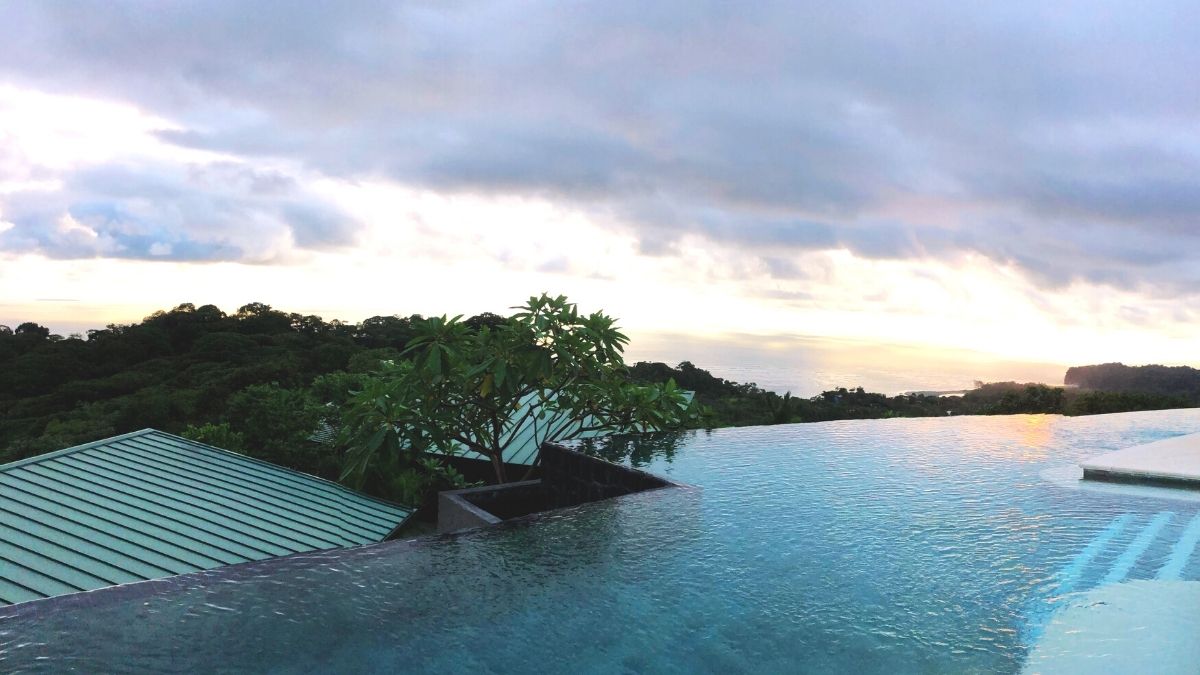 Blog – Colette Eaton